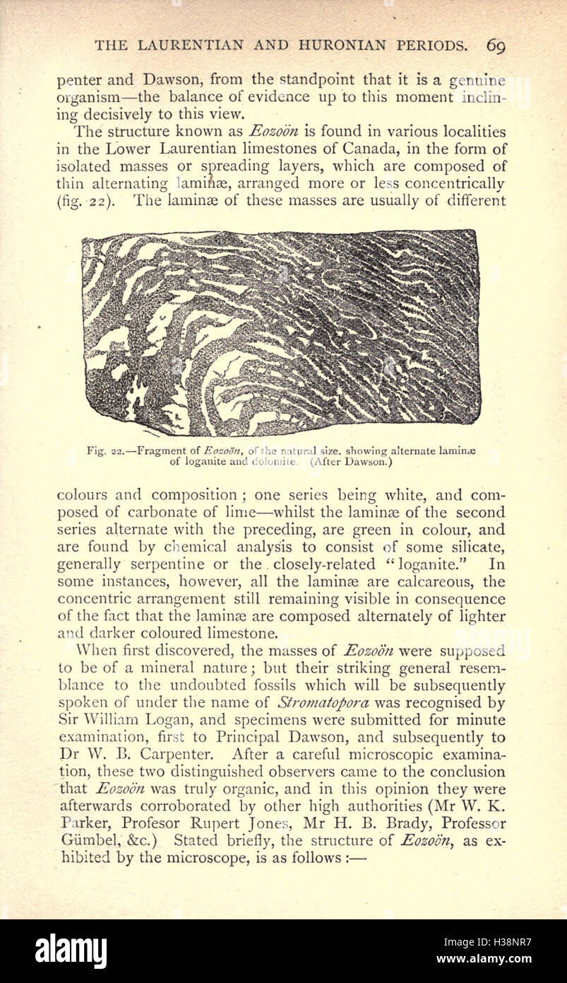 This section continues the examination of Earth’s history, discussing ...