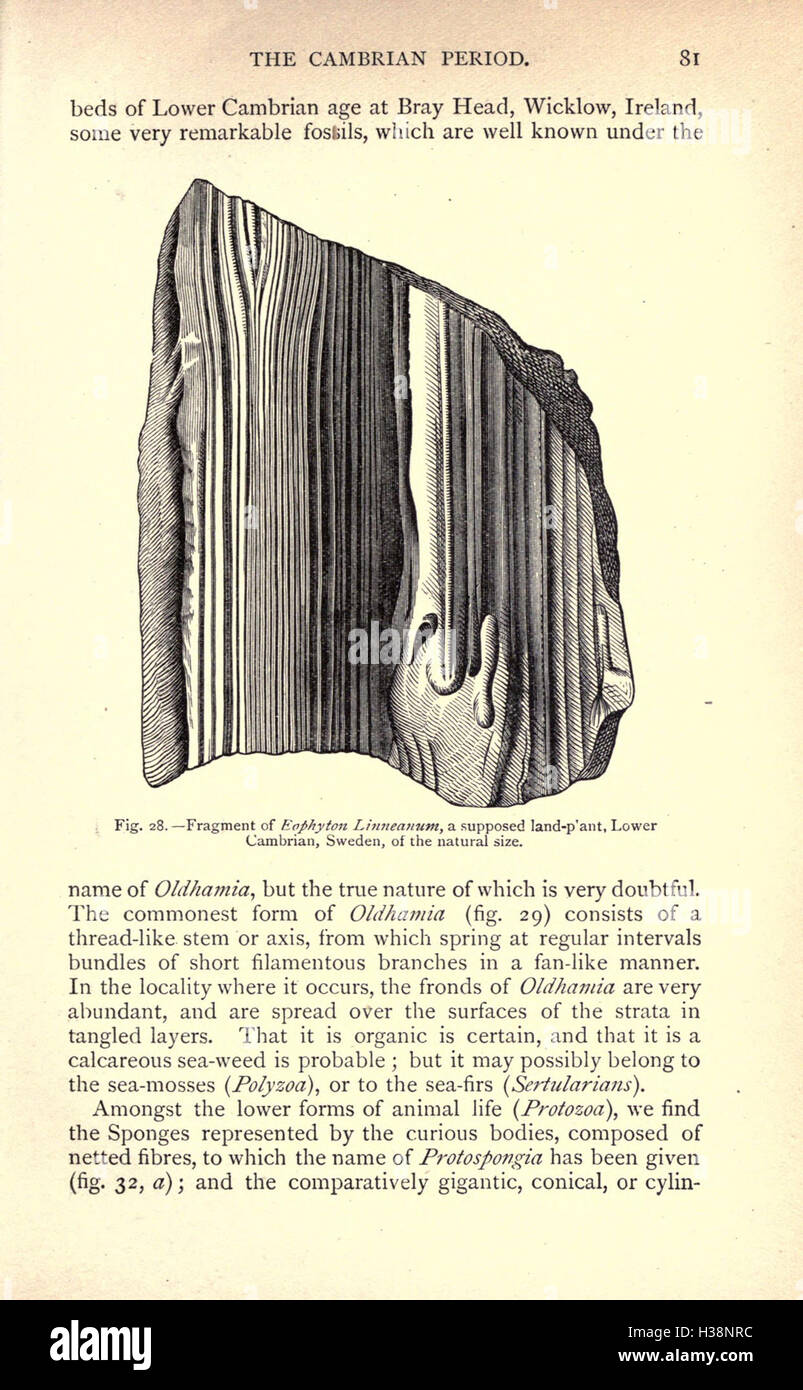 This page continues the exploration of Earth's ancient life, detailing ...