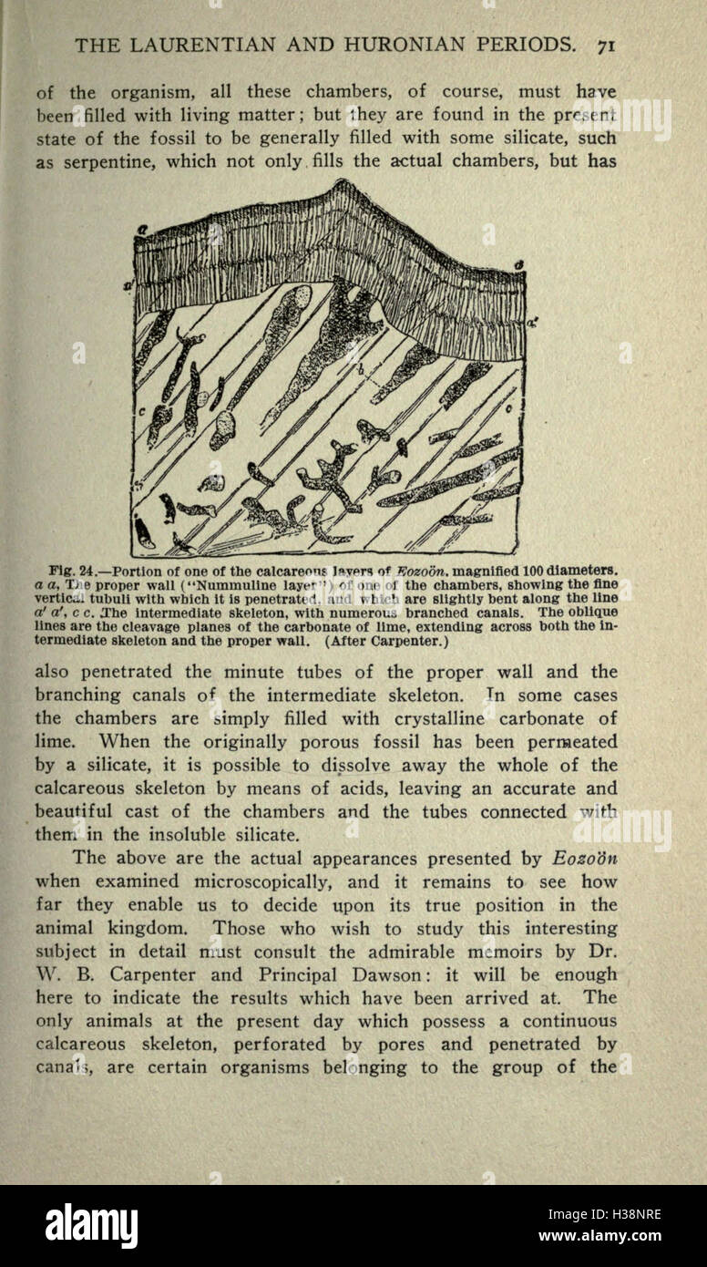 This text traces the life history of Earth from its formation to the ...