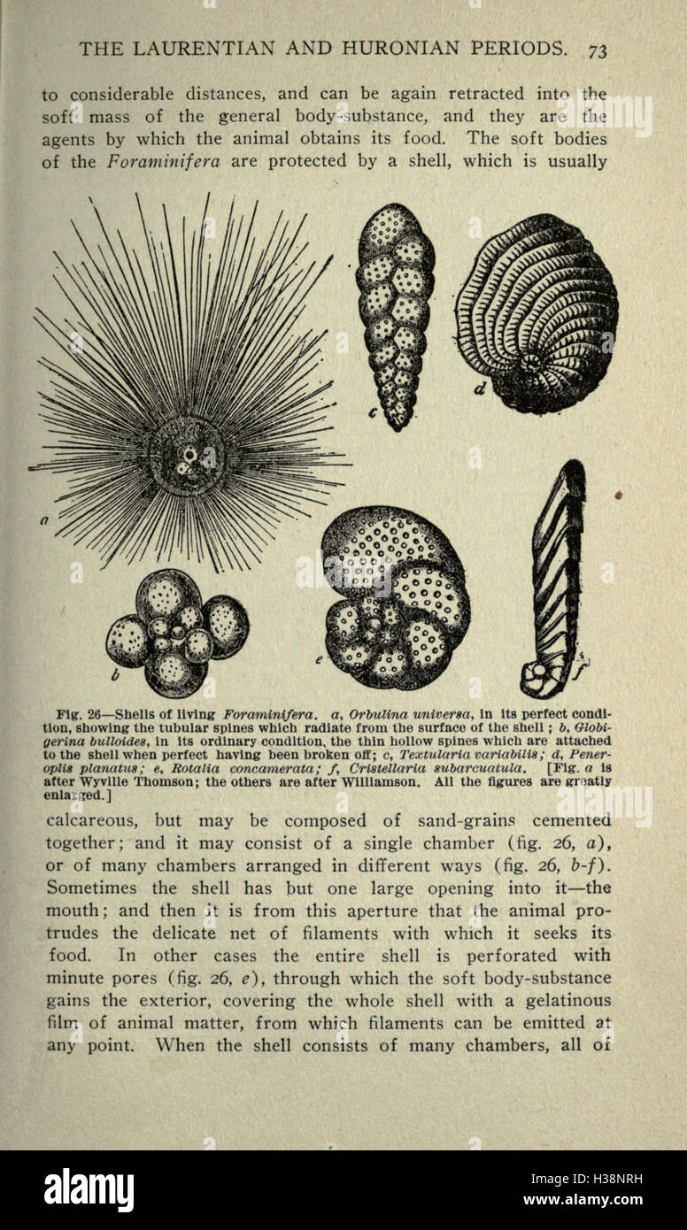 This text explores the geological and biological history of Earth ...