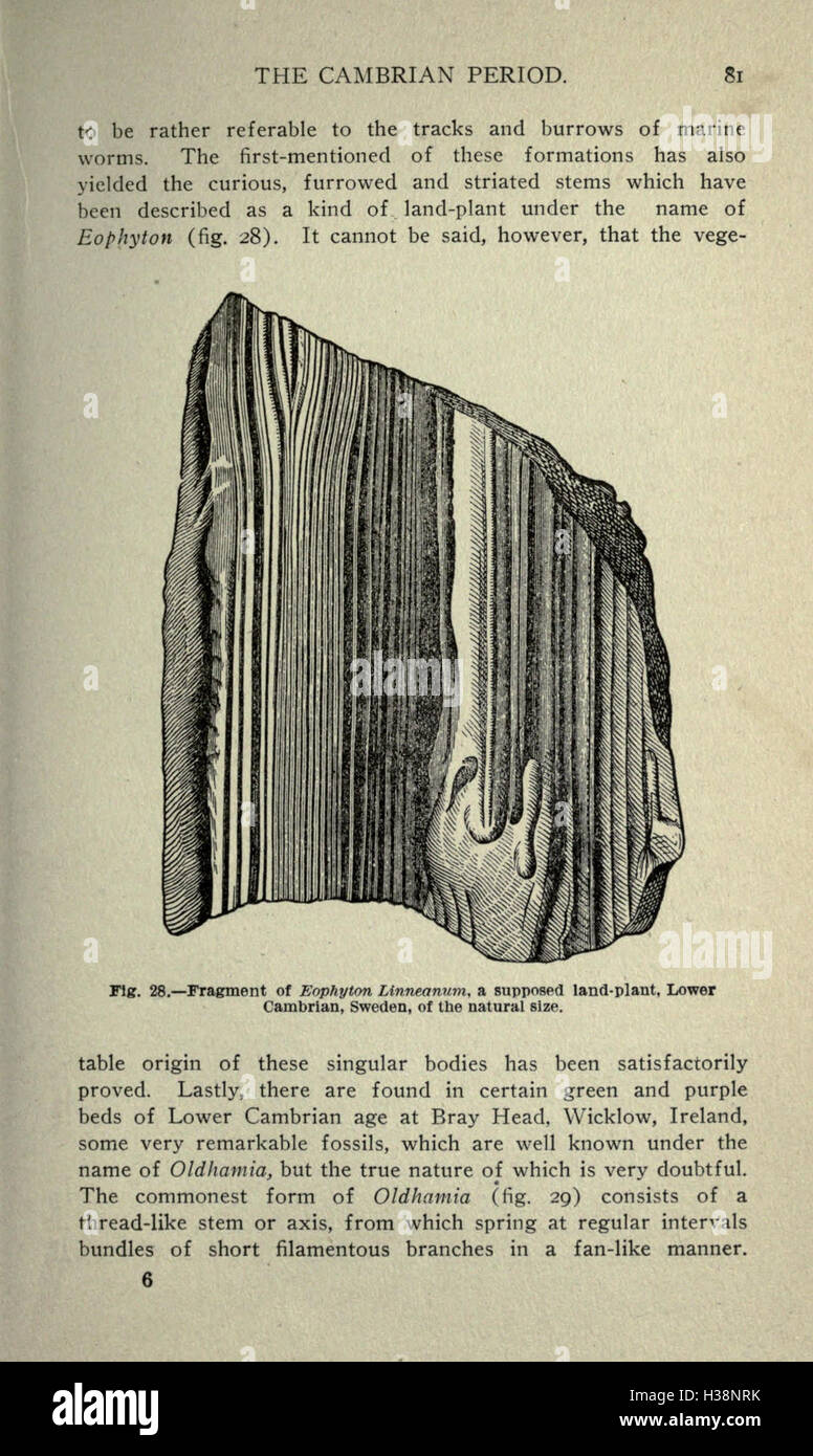 This work explores the history of life on Earth, tracing its evolution ...