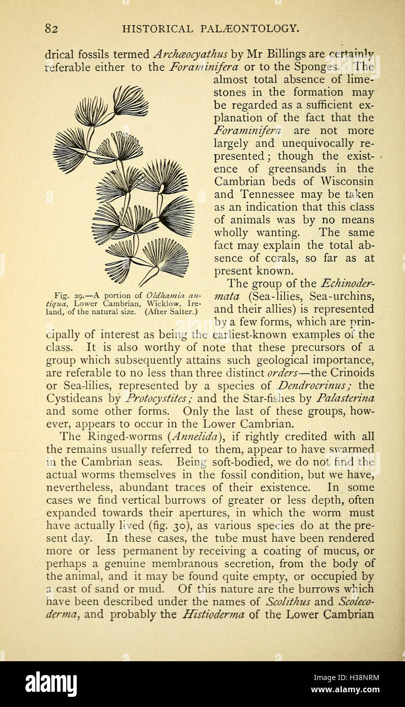 This work explores the early history of the Earth, examining its ...