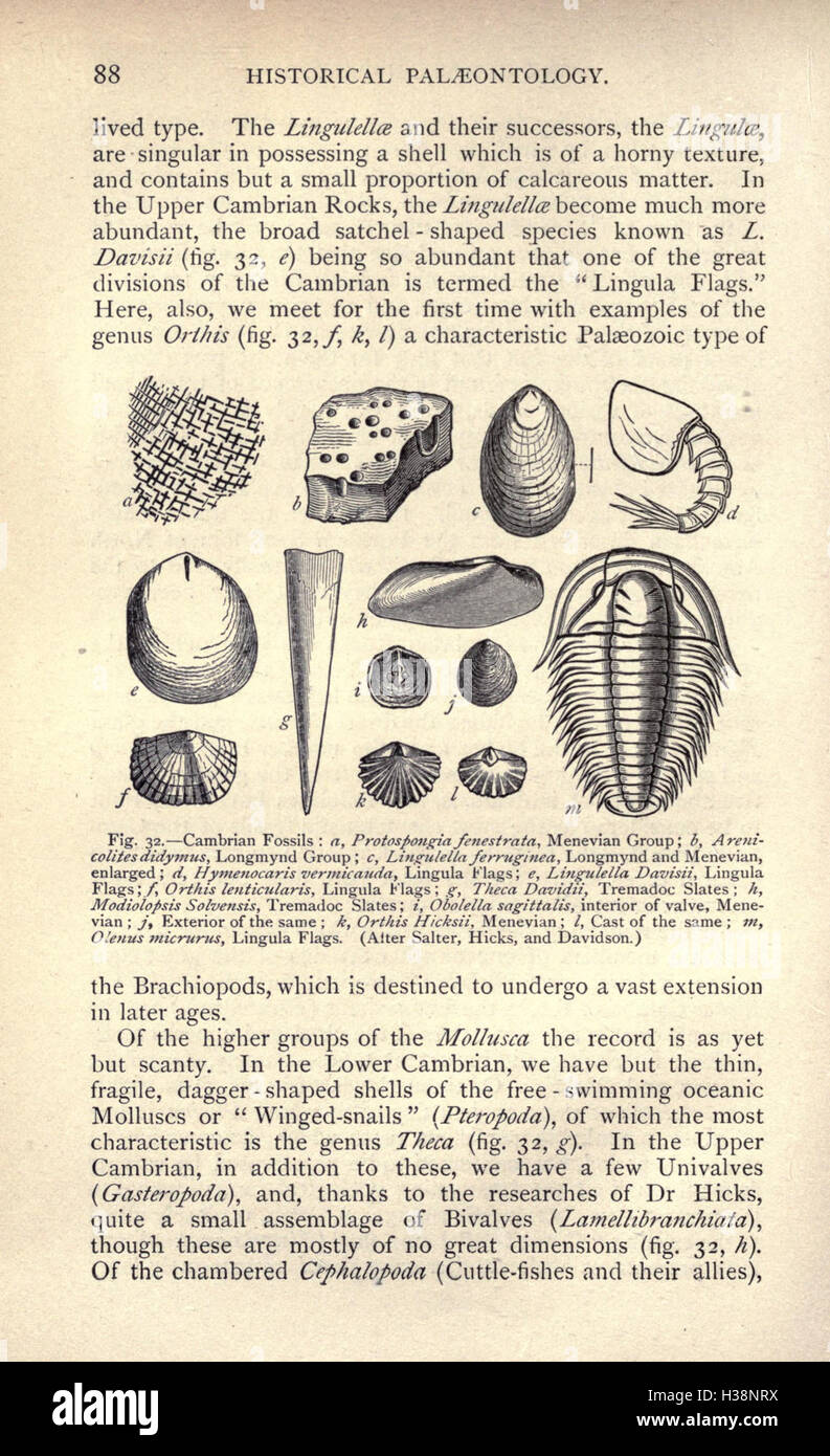 Formation of the earth stages hi-res stock photography and images - Alamy