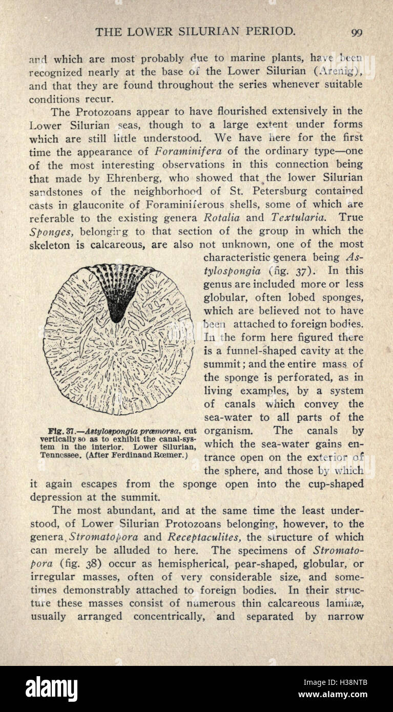 This page presents a detailed exploration of the earth's history ...