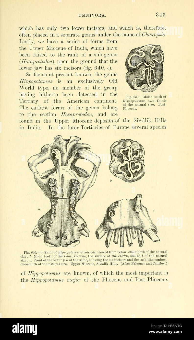 This manual serves as an introduction to paleontology for students ...