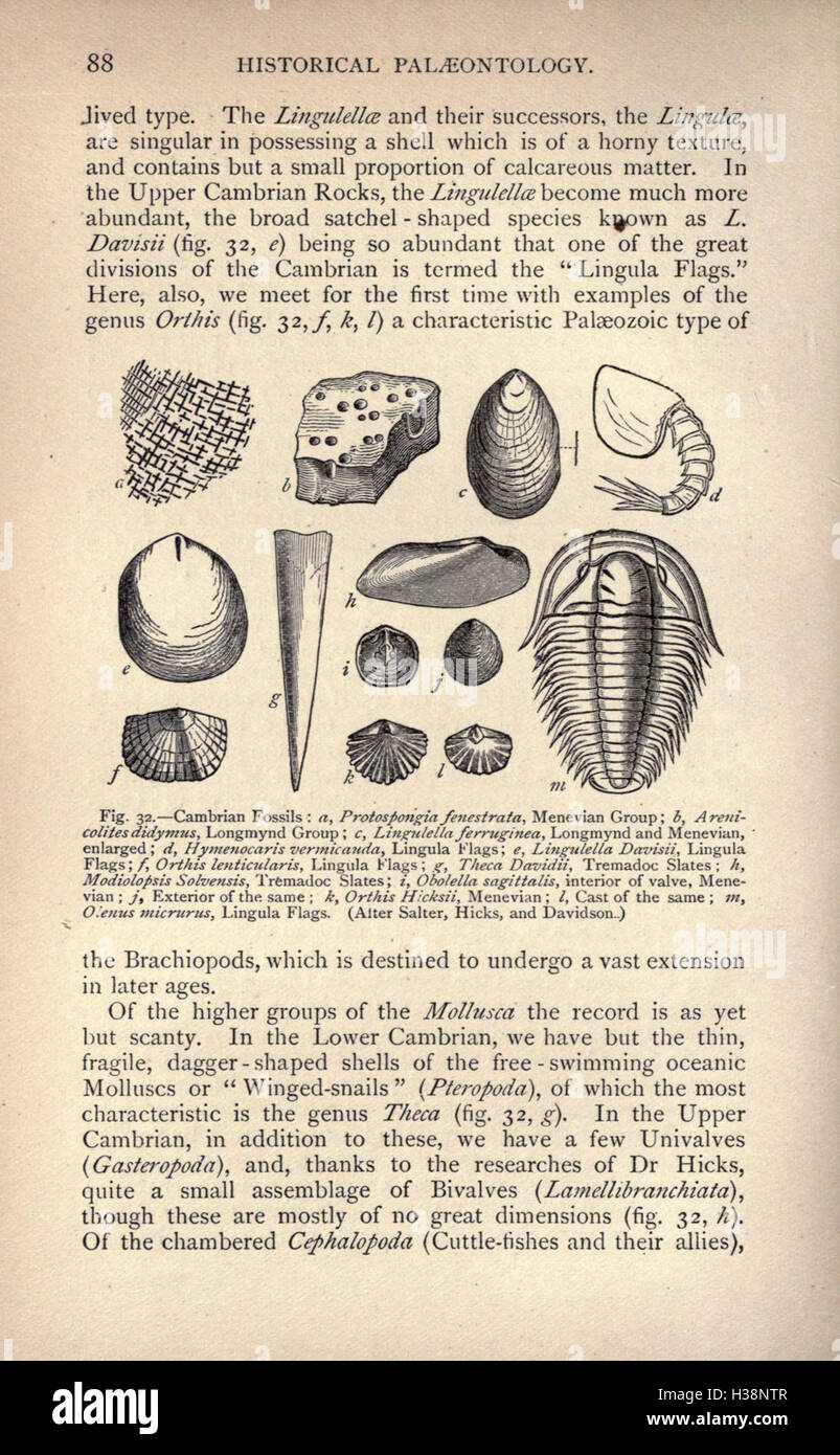 This book explores the geological history of the Earth, detailing the ...