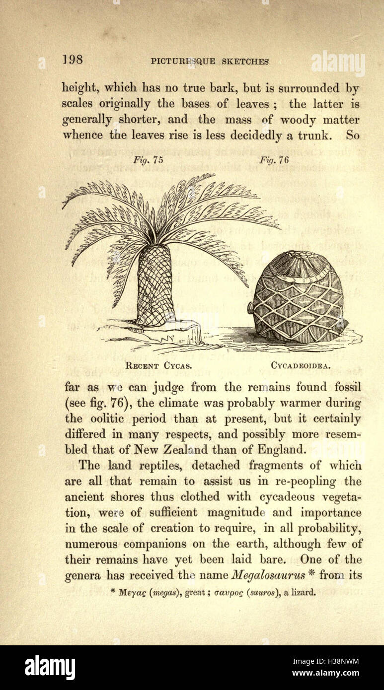 This text provides an overview of the ancient world, covering ...