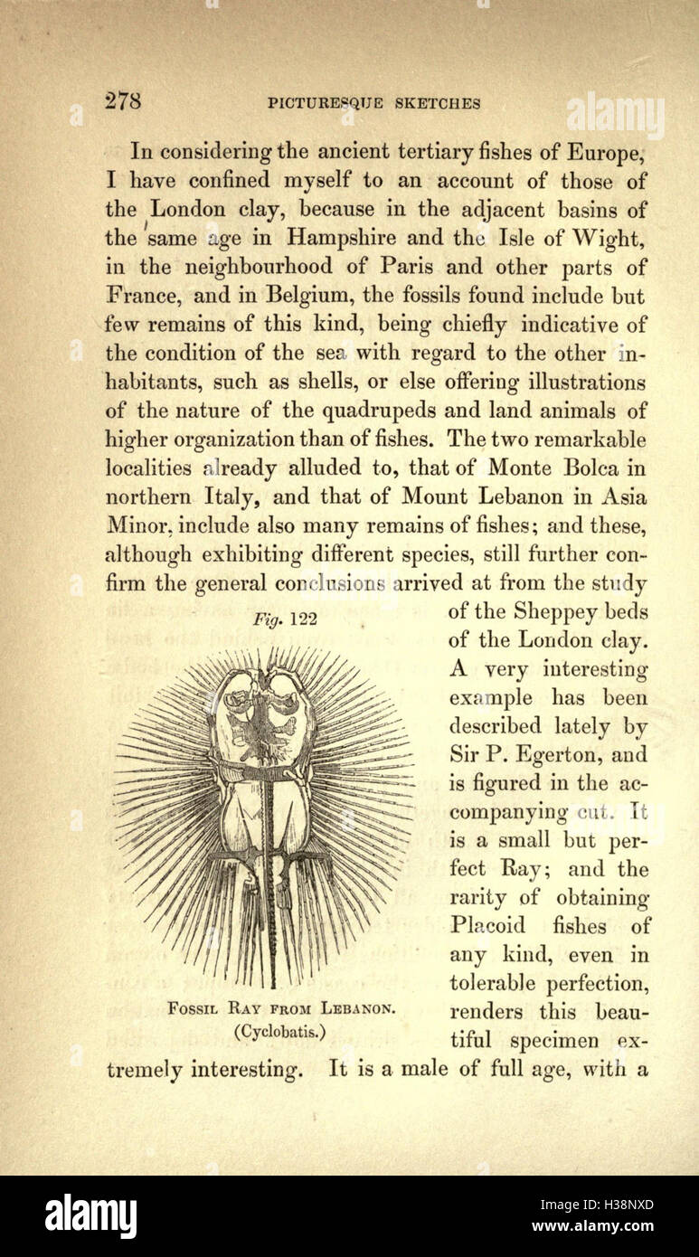 Modern warfare inventions hi-res stock photography and images - Alamy