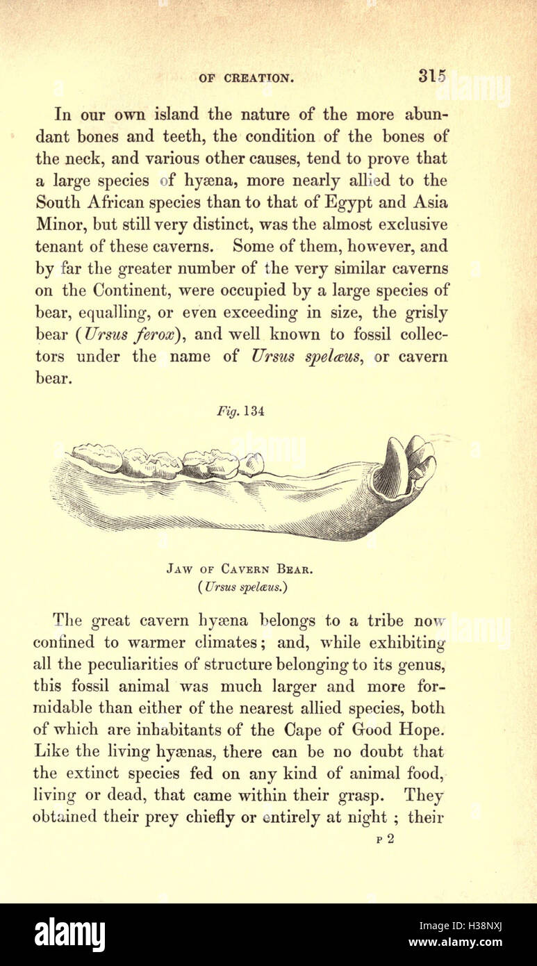 This work provides a historical overview of the ancient world, covering ...