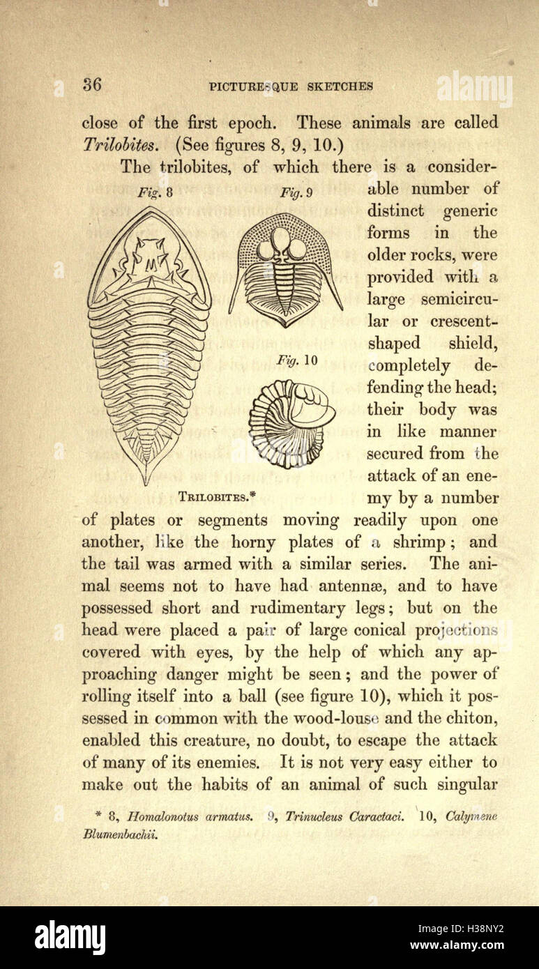 This work provides an overview of the ancient world, covering key ...