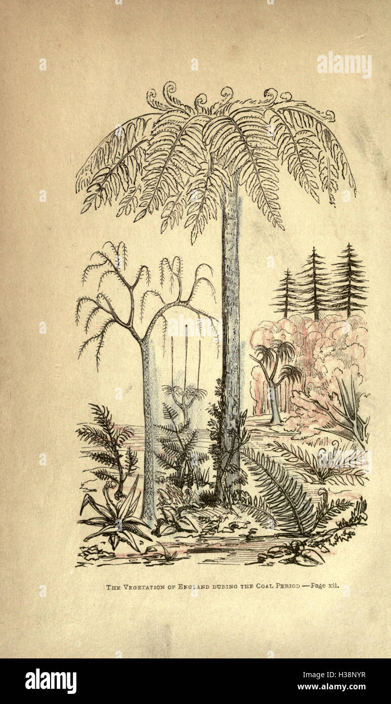 This work focuses on the ancient civilizations, their cultures, and the ...