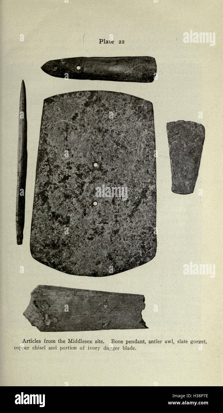 This work provides a comprehensive overview of the archaeological history of New York, detailing ...