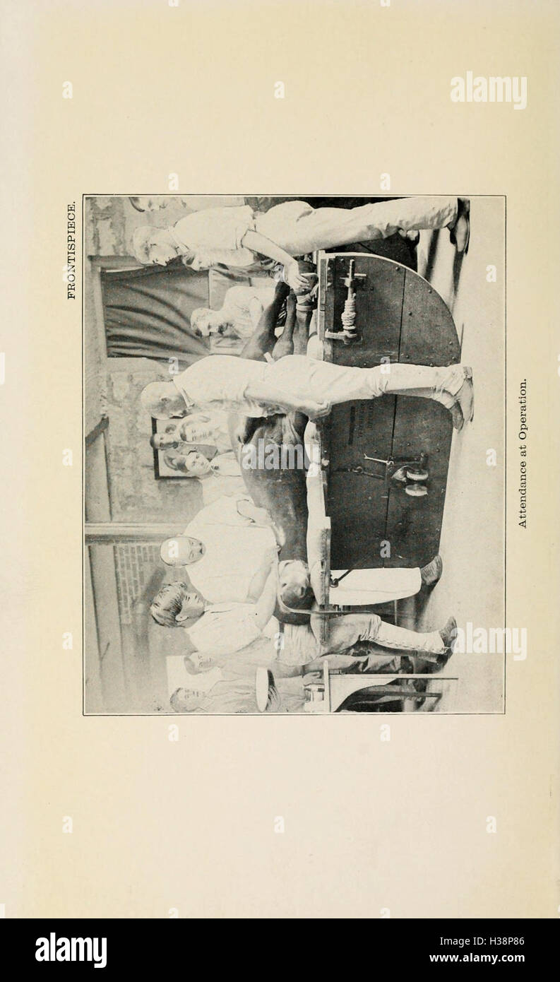 The army horse in accident and disease, edition- 1909 BHL209 Stock ...