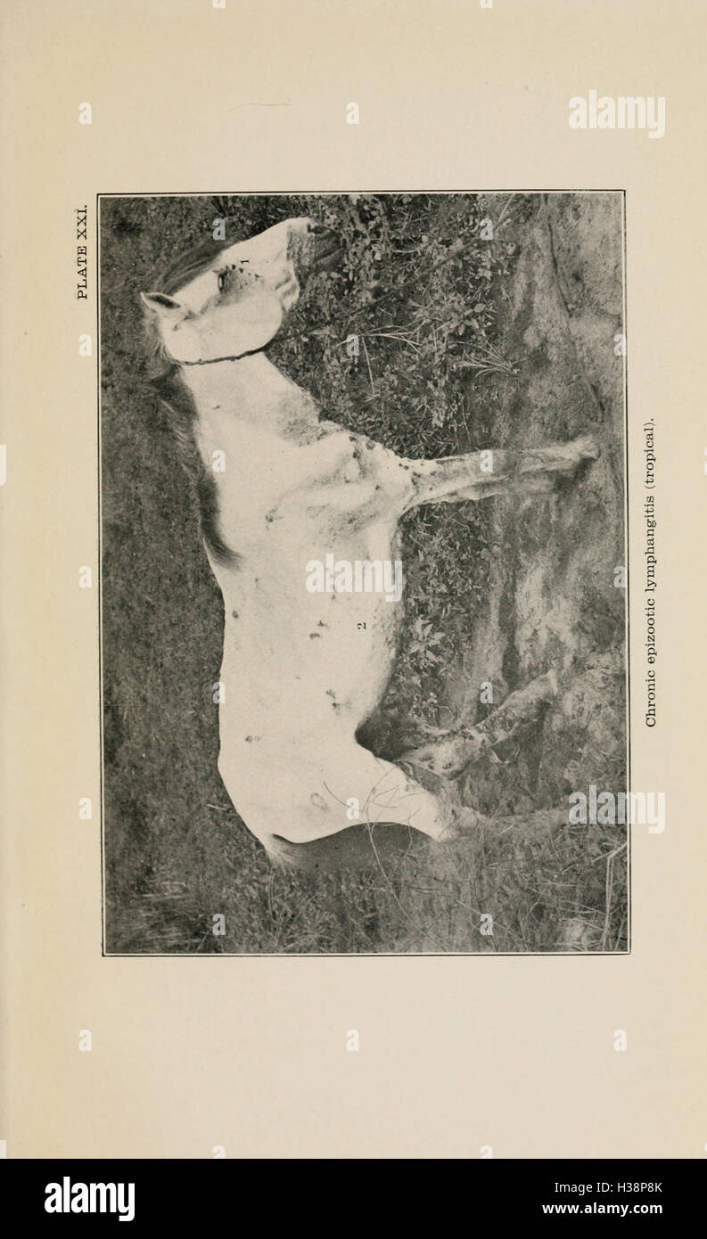 Work addresses health medical hi-res stock photography and images - Alamy