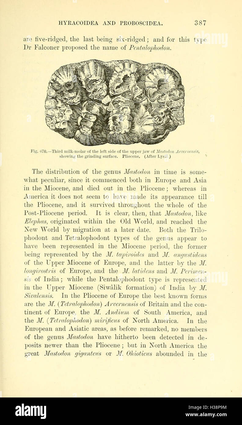 This manual provides essential knowledge on paleontology, including ...