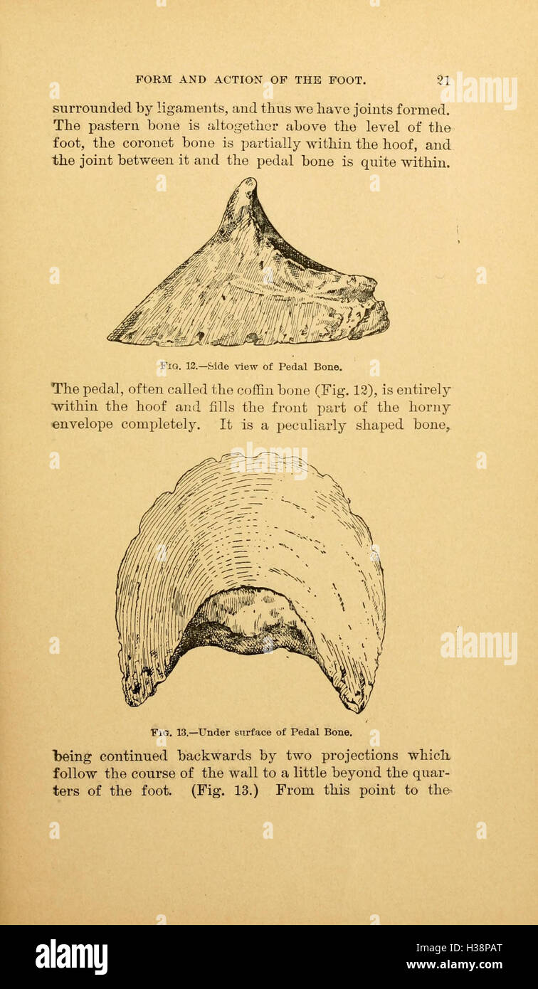 'The Art of Horse-Shoeing' provides a comprehensive guide to the ...