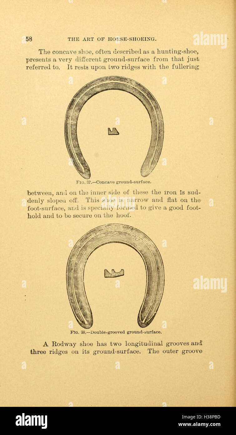 This text explains the techniques and tools used in the practice of ...