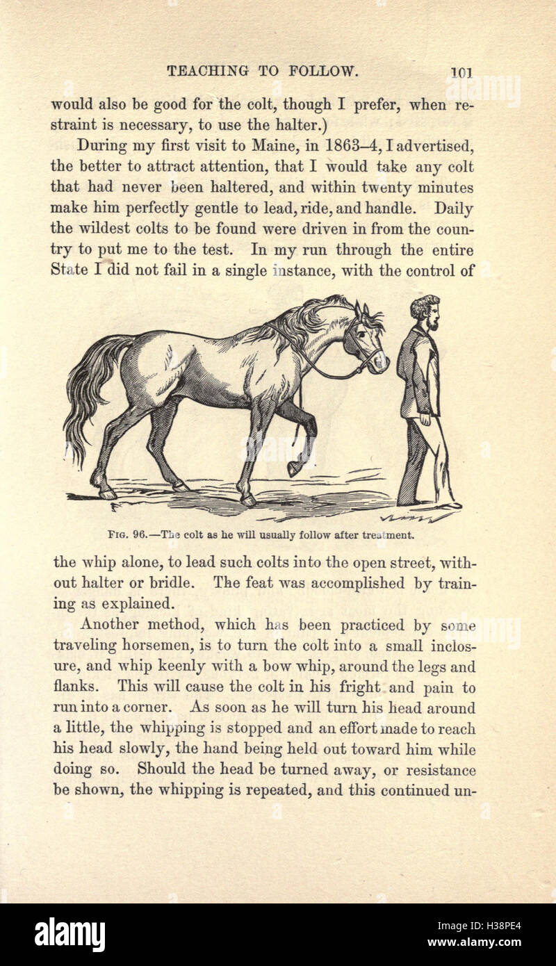 This text provides methods for taming and educating horses, focusing on ...