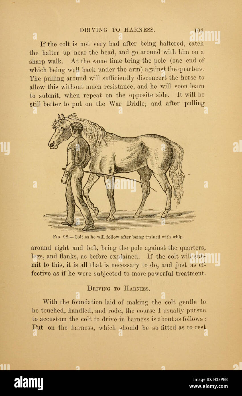 This text covers various methods for taming and training horses ...