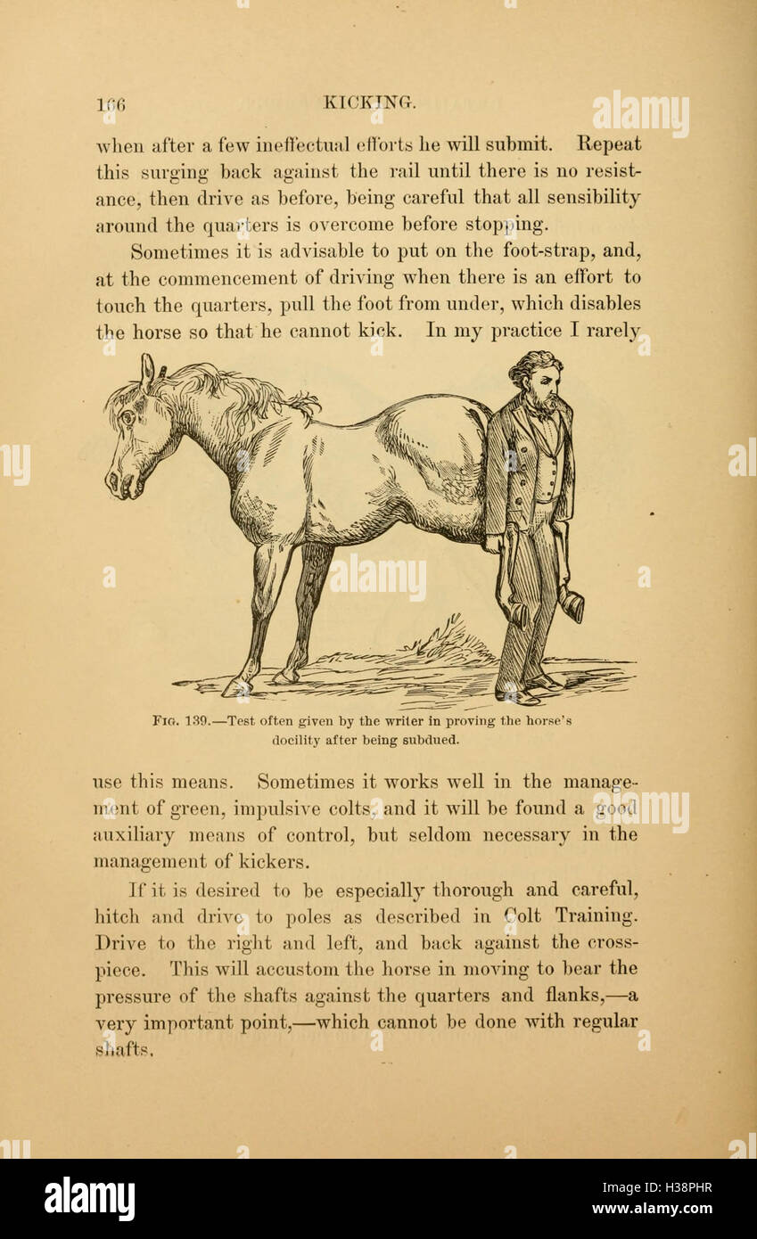 A guide to the principles of horse training, covering various ...