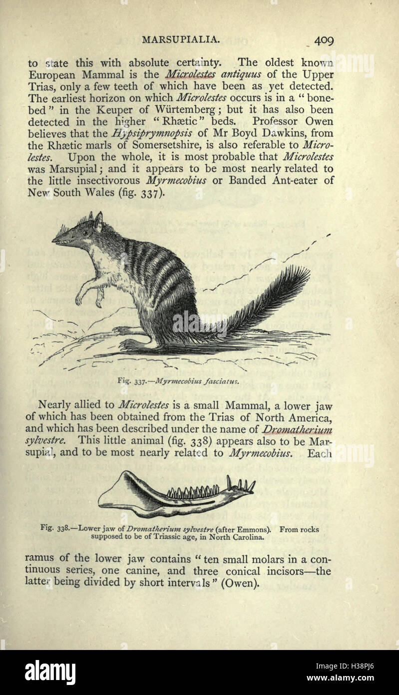 A student-focused manual on paleontology, providing a comprehensive ...