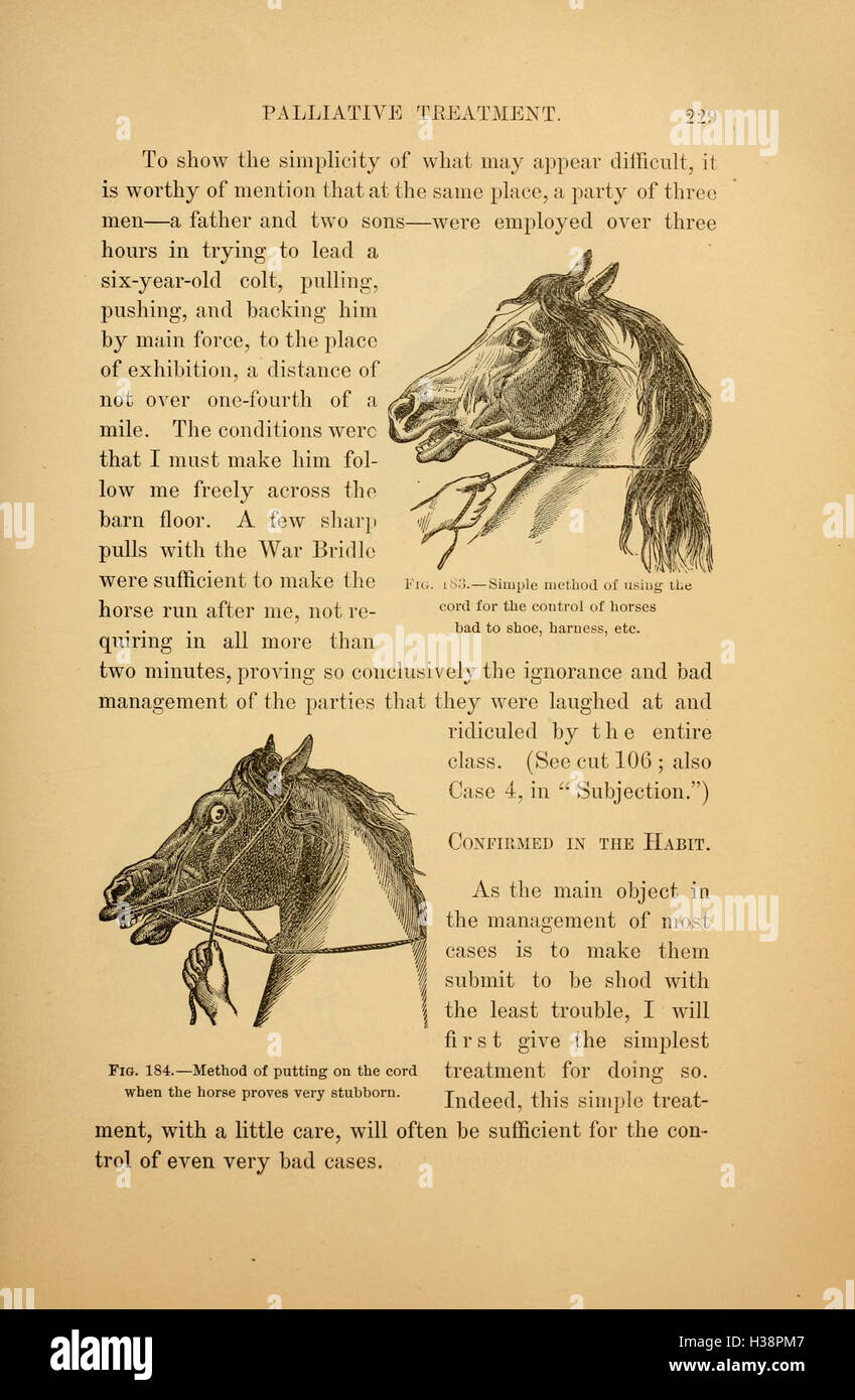 A guide on horse training and education, focusing on techniques for ...