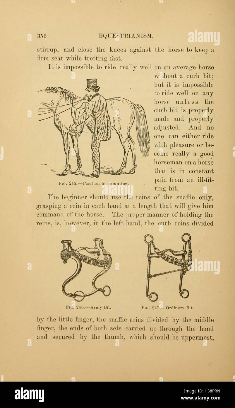 This text focuses on techniques for taming and educating horses ...