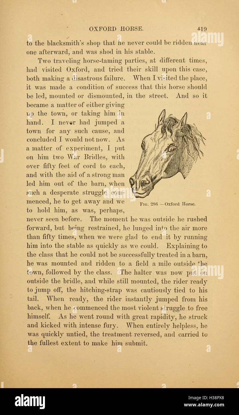 'The Art of Taming and Educating the Horse' covers training methods for ...