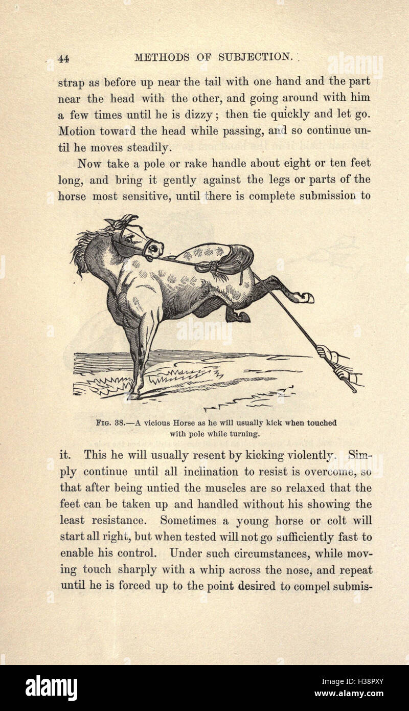 This guide covers various methods of taming and educating horses ...