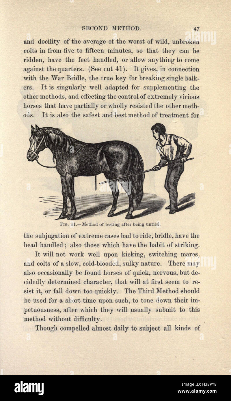 This guide provides expert insights into the art of taming and ...