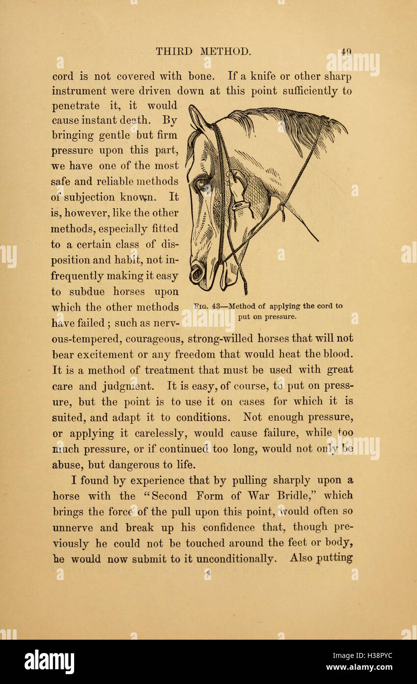 This work explores the techniques used to tame and train horses ...