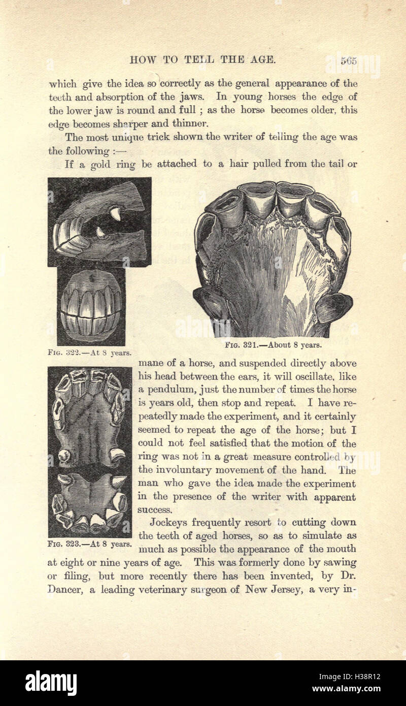 This page from 'The Art of Taming and Educating the Horse' discusses ...