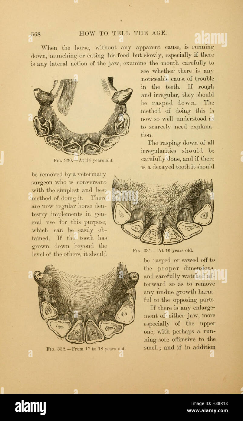 This text covers techniques for taming and training horses, with an ...