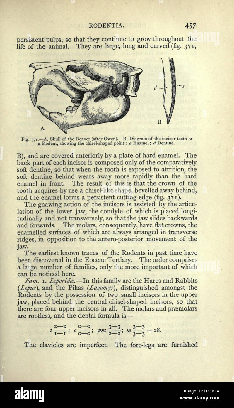 This manual offers a comprehensive introduction to paleontology ...