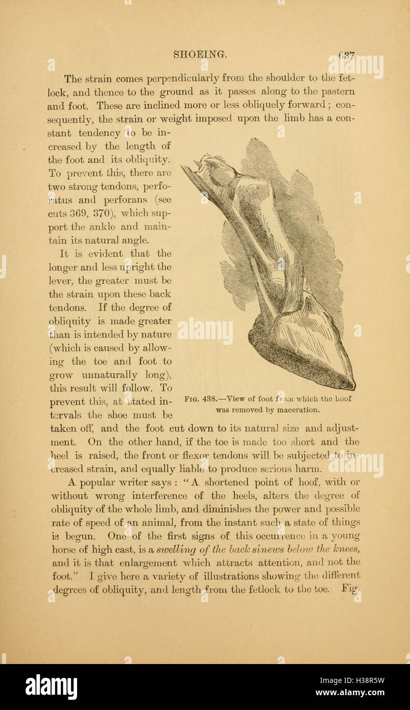 Humane methods hi-res stock photography and images - Alamy