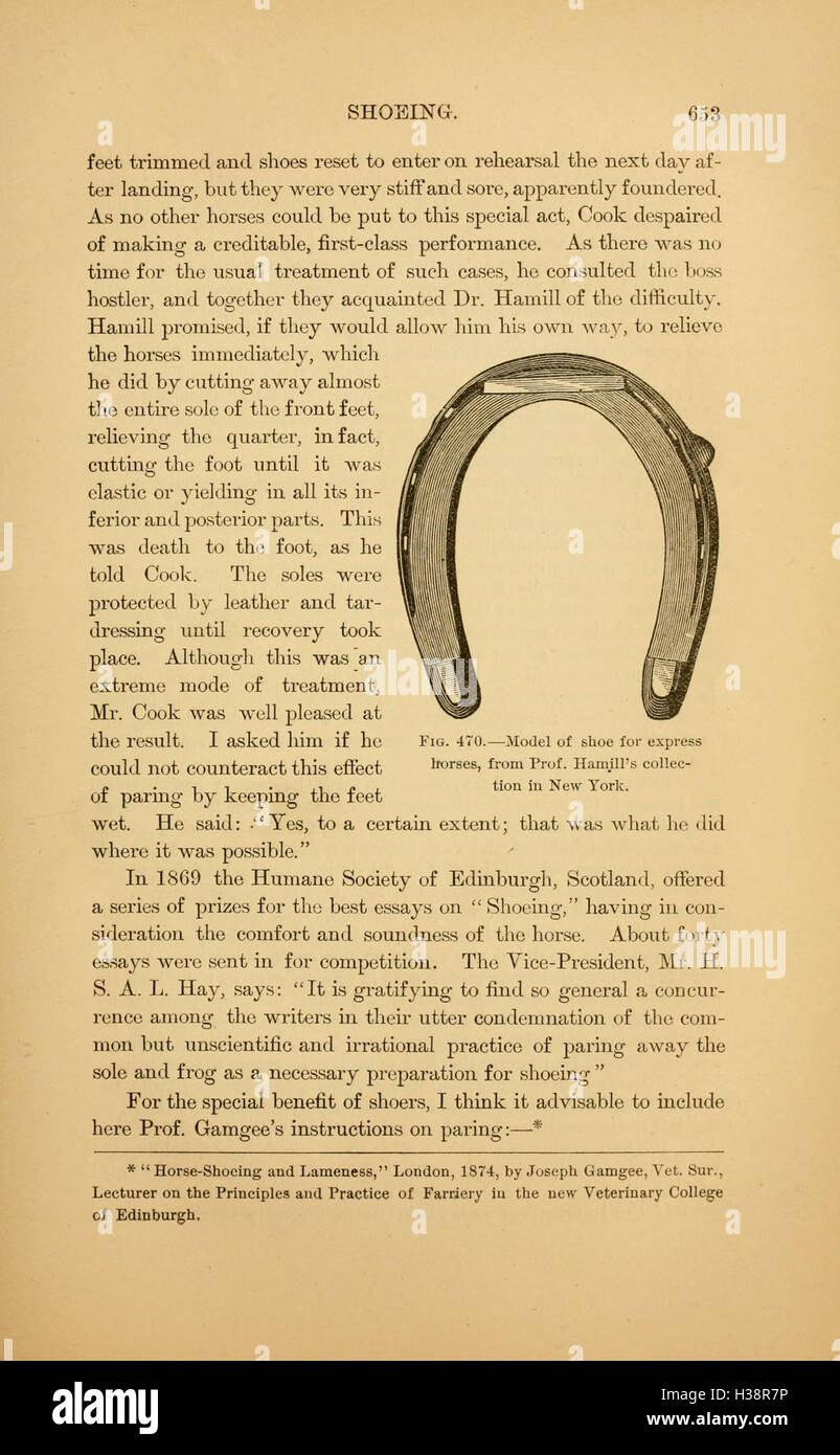 This text explores techniques for taming and training horses, offering ...