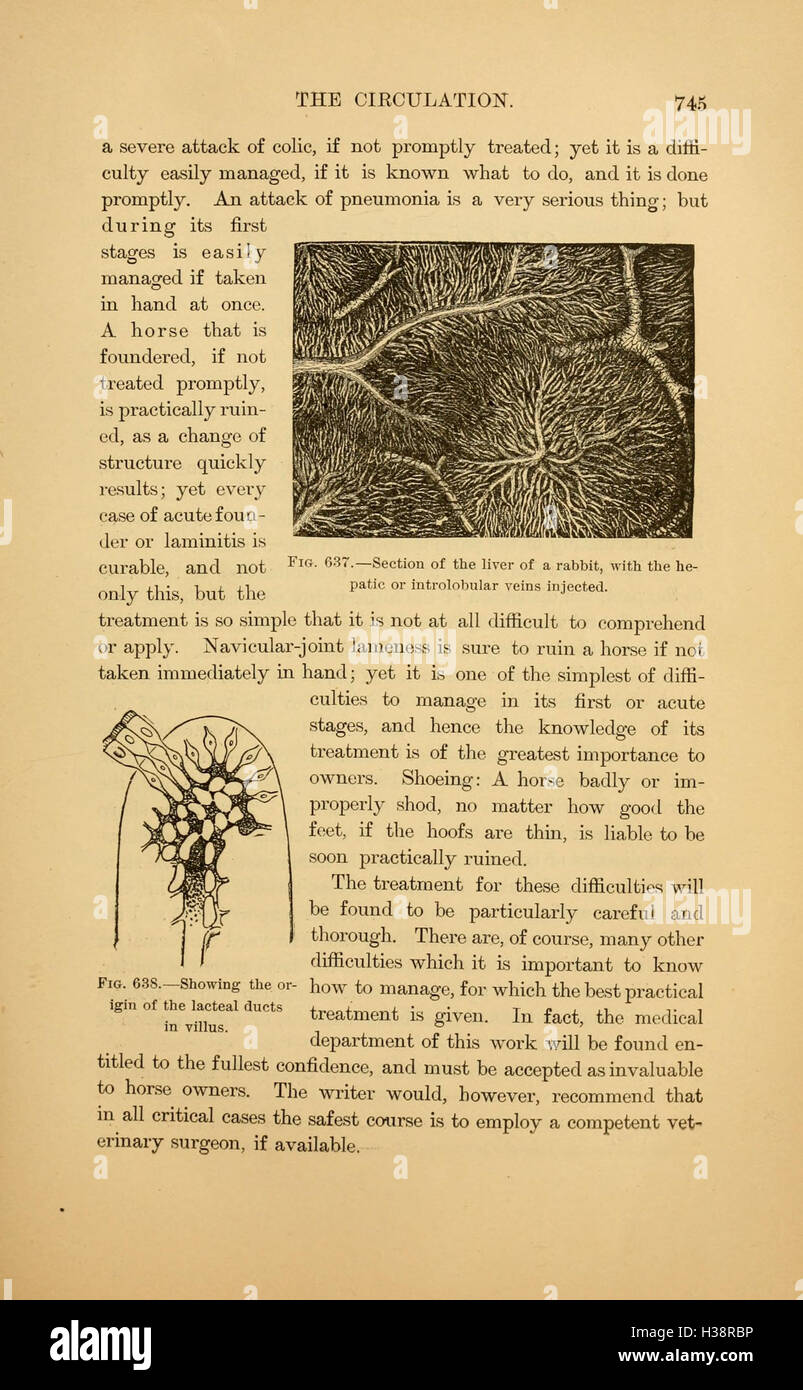 This book discusses the techniques and principles of horse taming and ...