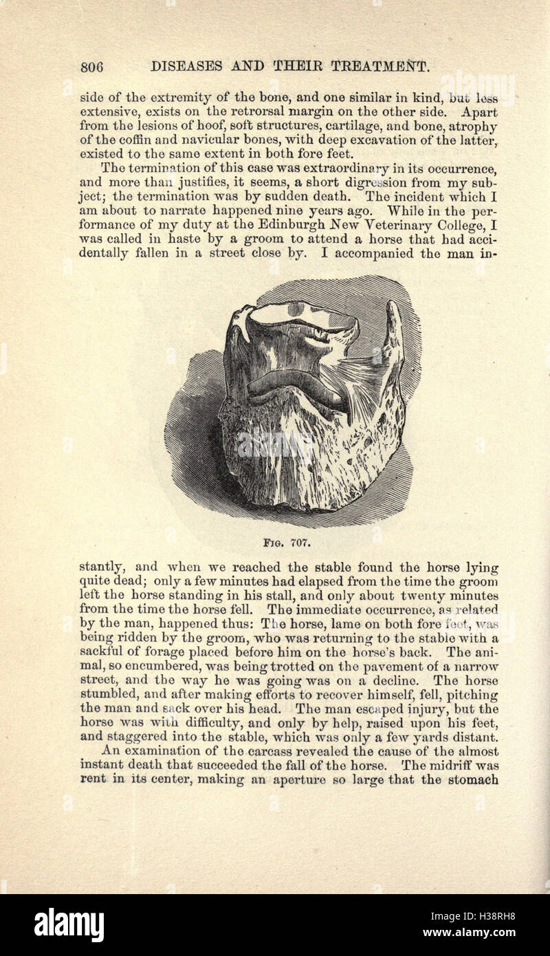 This guide covers the principles of taming and training horses ...