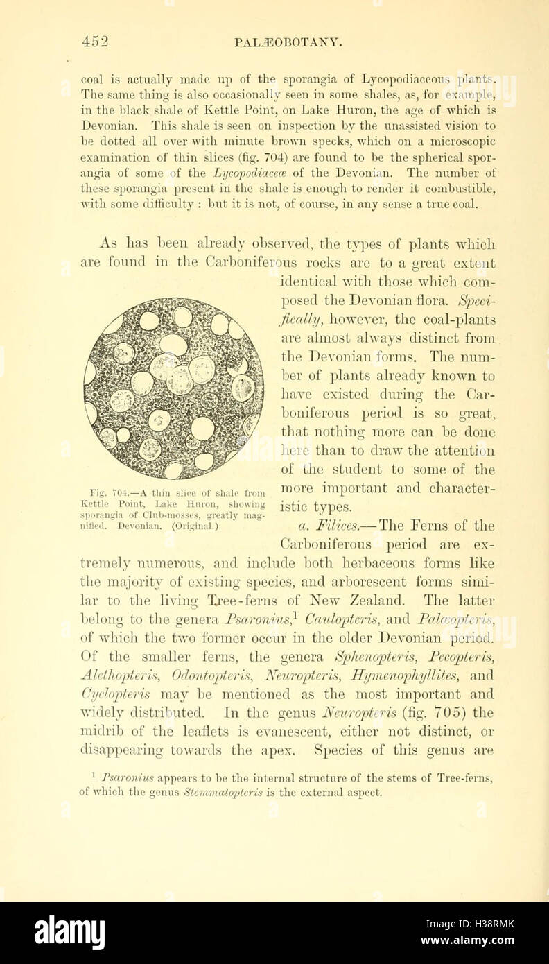 An educational manual on paleontology, providing students with ...