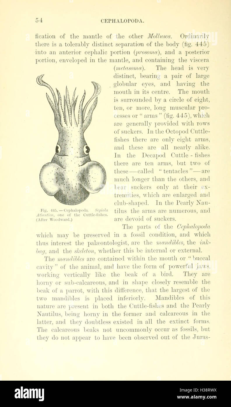 This manual provides an introduction to paleontology, focusing on the ...