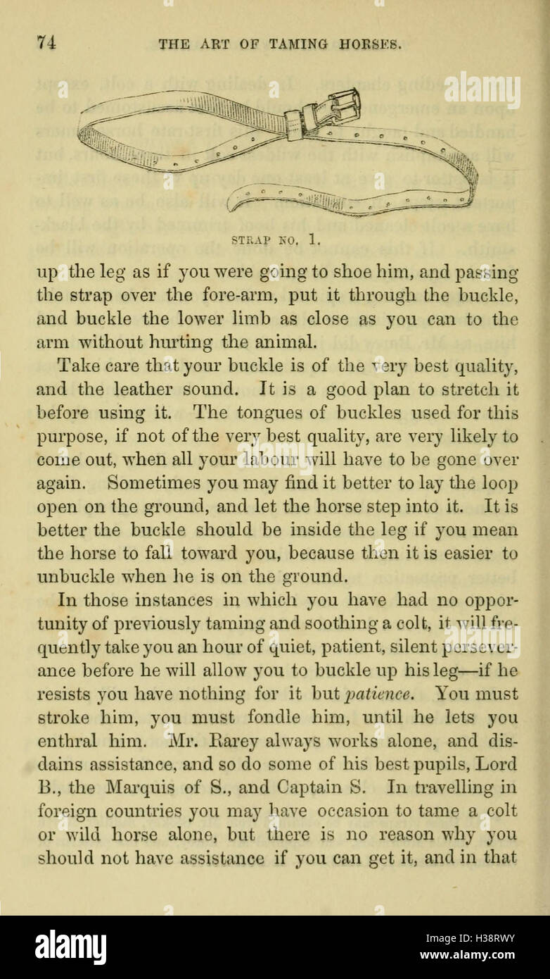 The art of taming horses (Page 74) BHL212 Stock Photo - Alamy