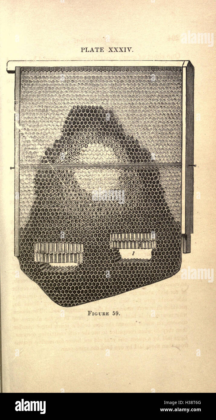 The Bee-Keeper's Directory provides detailed guidance on the theory and ...