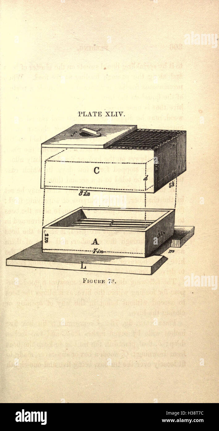 This Guide On Beekeeping Covers The Theoretical And Practical Aspects