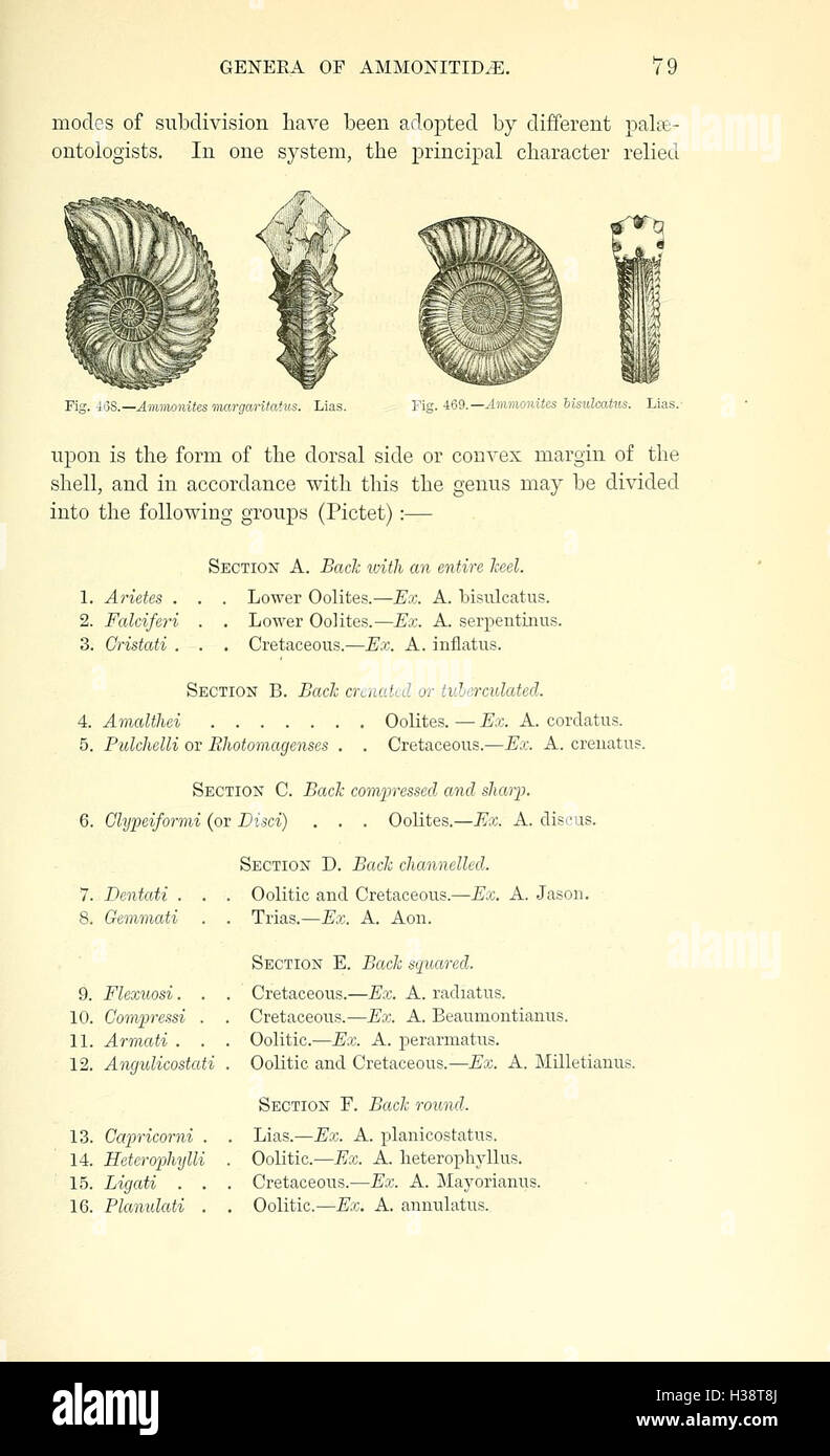 A textbook introducing paleontology to students, providing a ...
