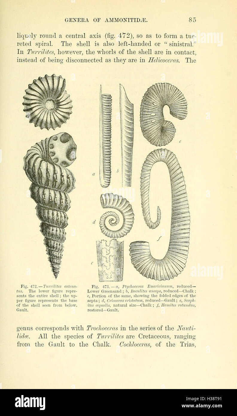 This manual provides an educational introduction to paleontology ...
