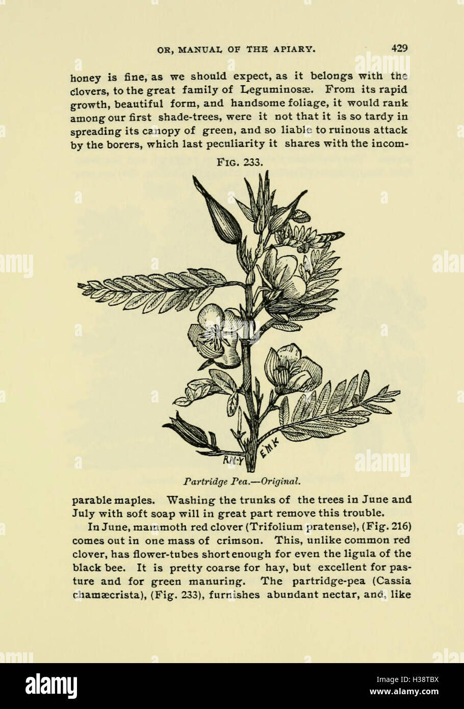 This guide offers practical advice on beekeeping, focusing on hive ...