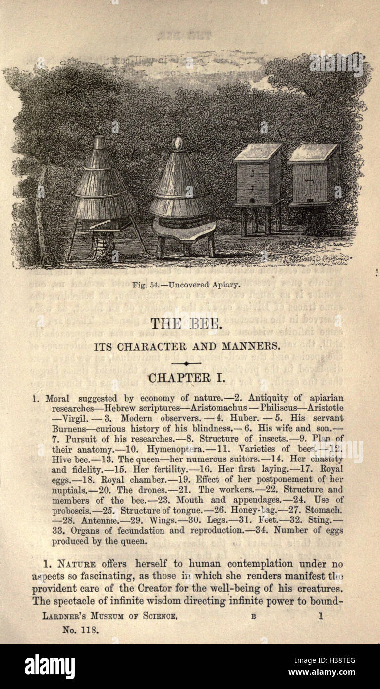 Respective characteristics hi-res stock photography and images - Alamy