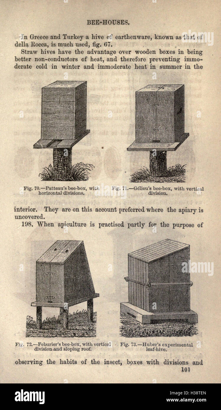 Ant dynamics hi-res stock photography and images - Alamy