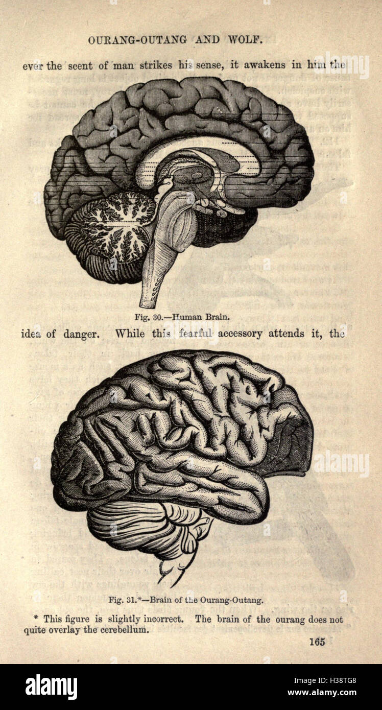 Exploring roles hi-res stock photography and images - Alamy