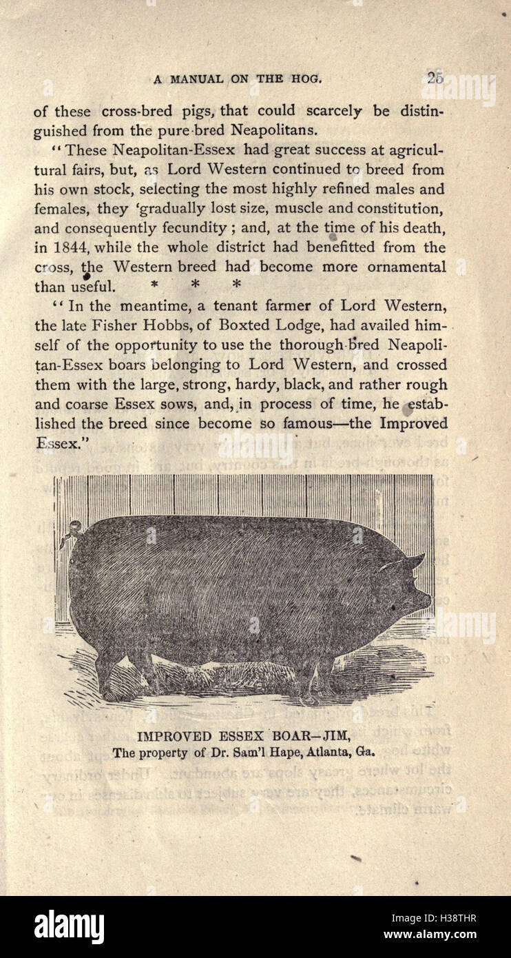 This manual offers guidance on the care and management of hogs ...